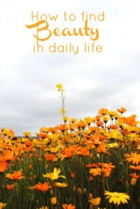 How To Find Beauty In Daily Life » Read Now!