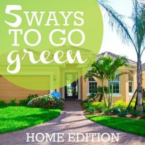 5 Quick Changes To “Go Green” Without Changing Your Lifestyle: Home ...