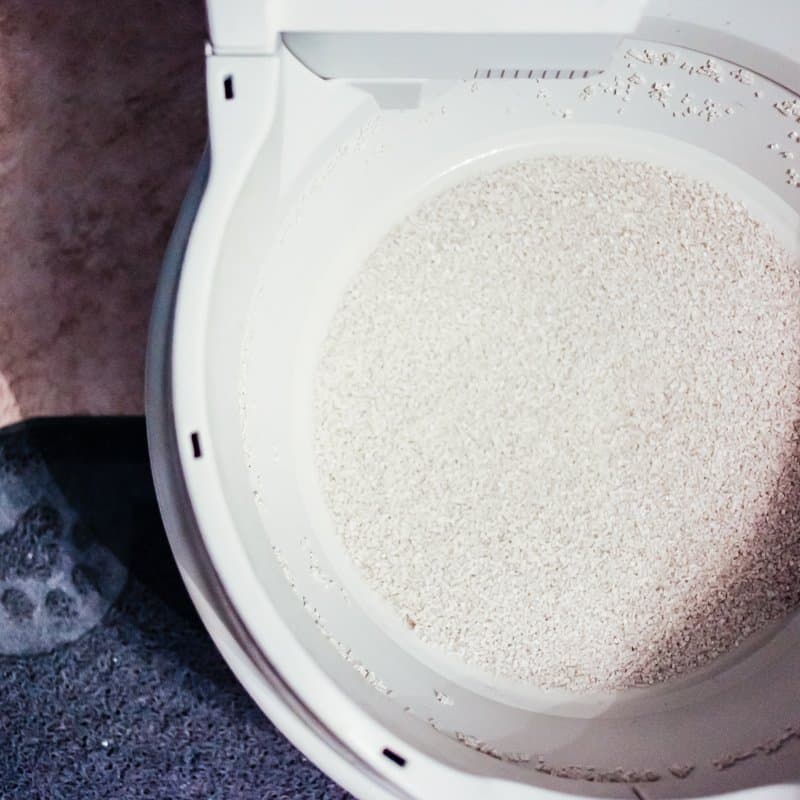 Using Baking Soda Paste On Tough Cleaning Jobs - Daily Mom