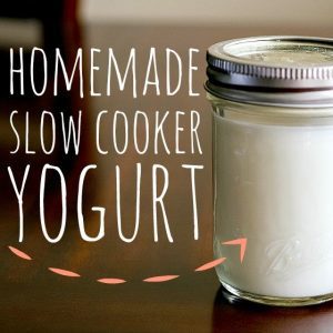 Homemade Slow Cooker Yogurt » Read Now!