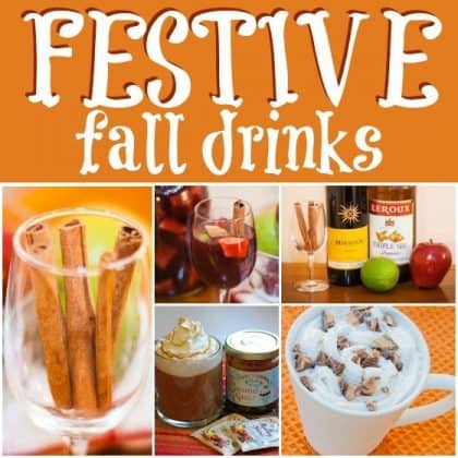 Daily Mom's Favorite Fall Inspired Beverages » Read Now!