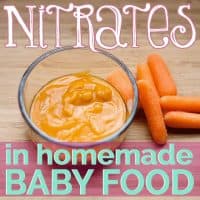 Nitrates In Homemade Baby Food » Read Now!
