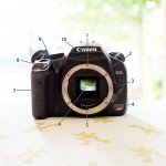 Buttons On A Camera: How To Get To Know Your Canon Camera