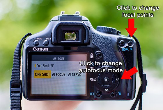 Getting to Know Your Camera: Focusing and Focal Points - Daily Mom