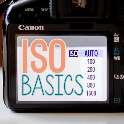 Getting To Know Your Camera: ISO Basics » Read Now!