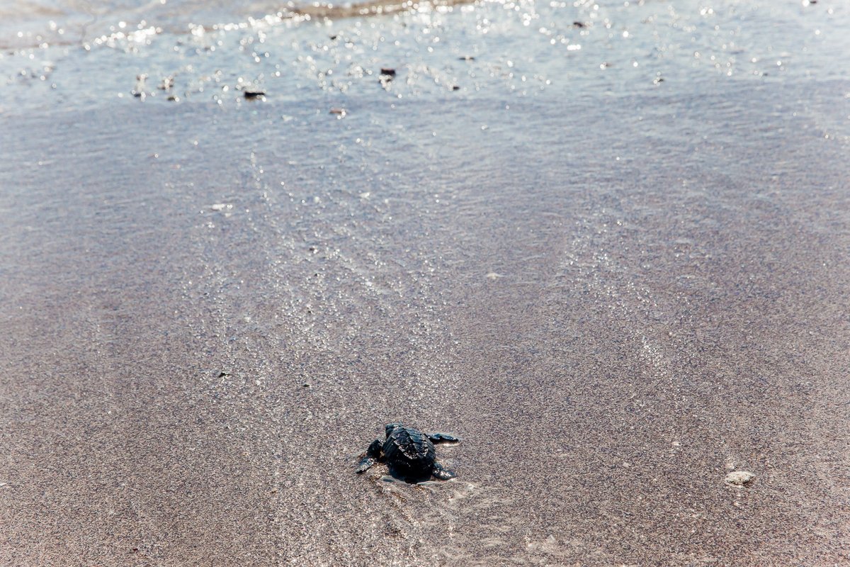 Experiencing The Best In Mazatlan, Mexico ⋆ Every Avenue Travel