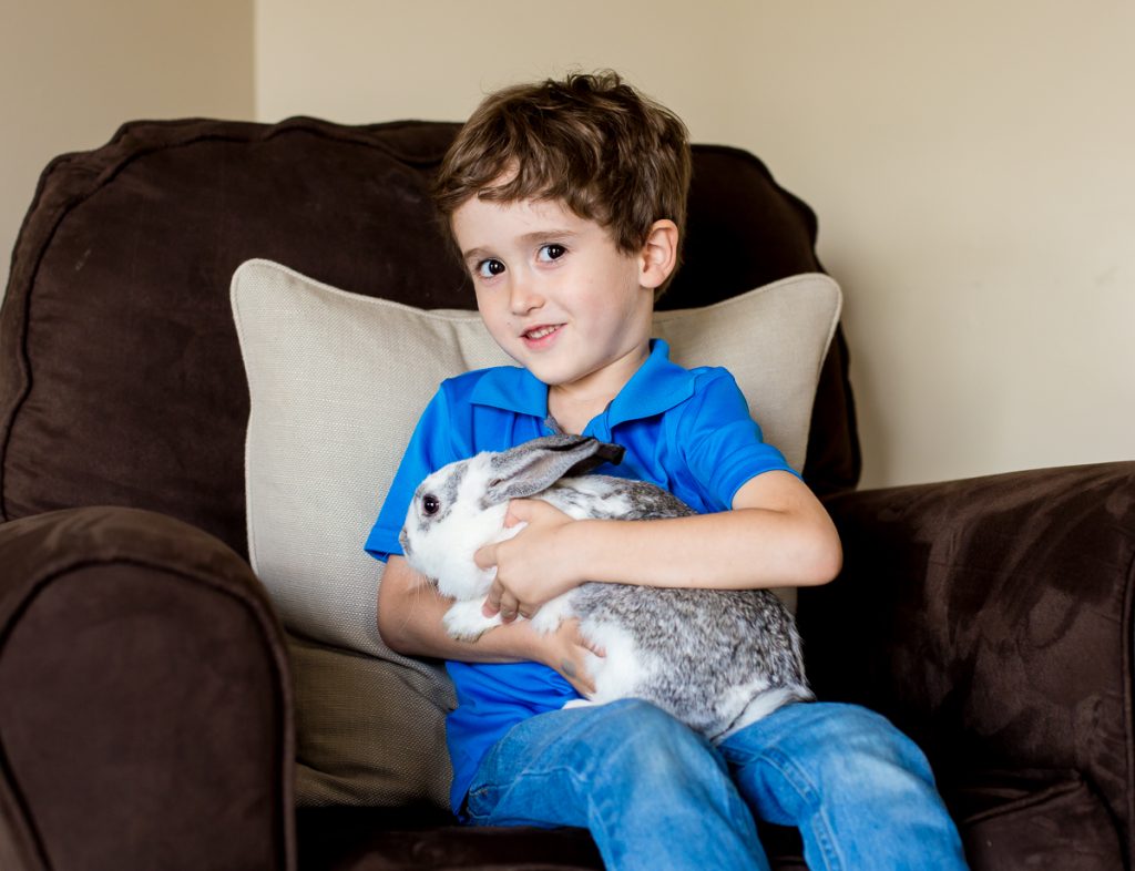 Owning A Bunny Beyond Easter » Read Now!