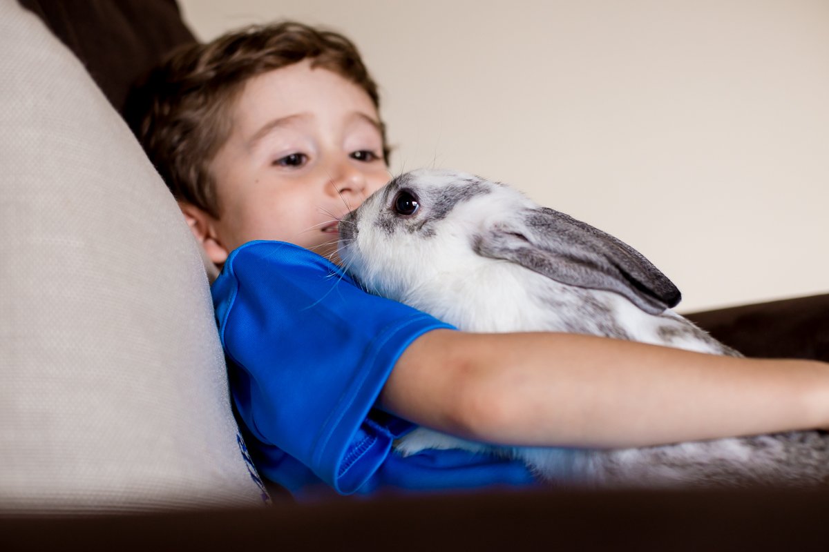 Owning A Bunny Beyond Easter » Read Now!