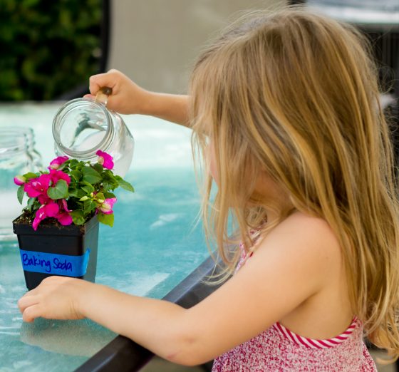 Exploring The World With Science: A Water Pollution Experiment » Read Now!