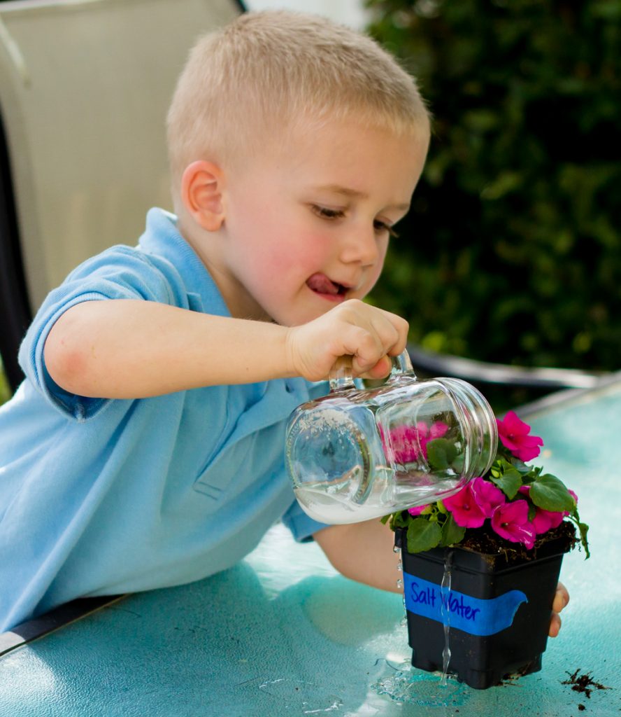 Exploring The World With Science: A Water Pollution Experiment » Read Now!