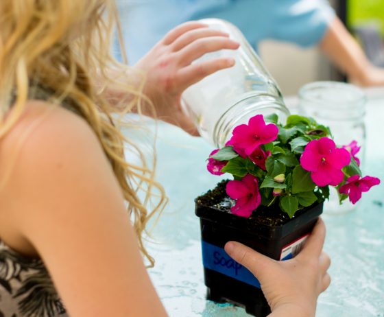 Exploring The World With Science: A Water Pollution Experiment » Read Now!