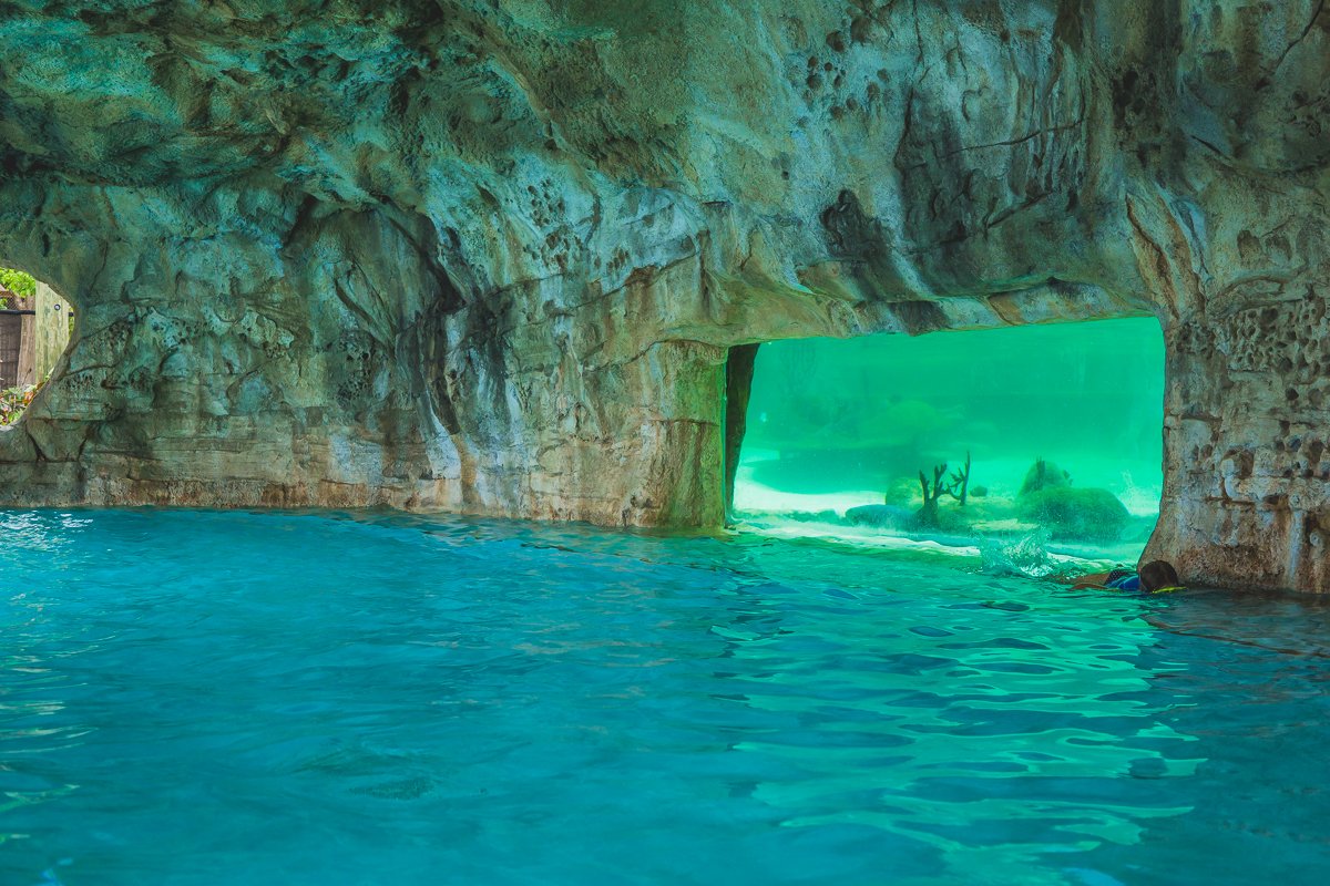 QUICK GUIDE TO FAMILY FRIENDLY NASSAU, BAHAMAS ⋆ Every Avenue Travel