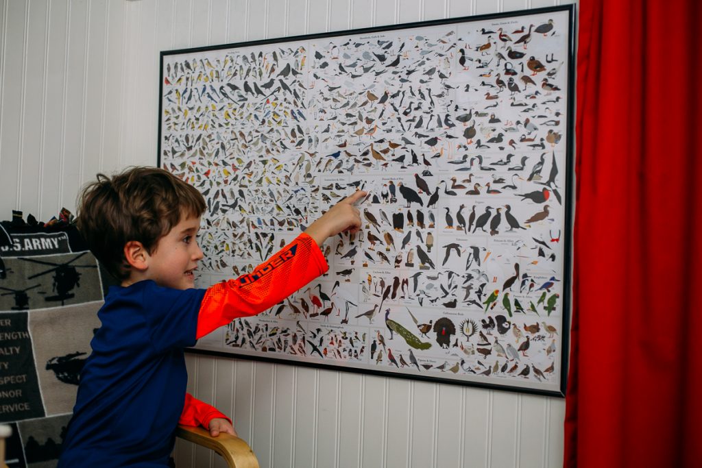 Top Picks For Gifts Under $50