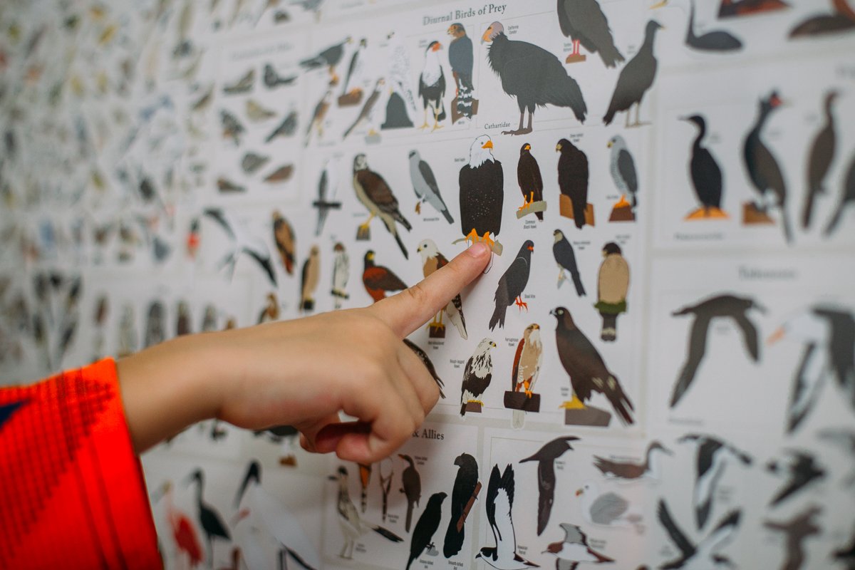 Top Picks For Gifts Under $50