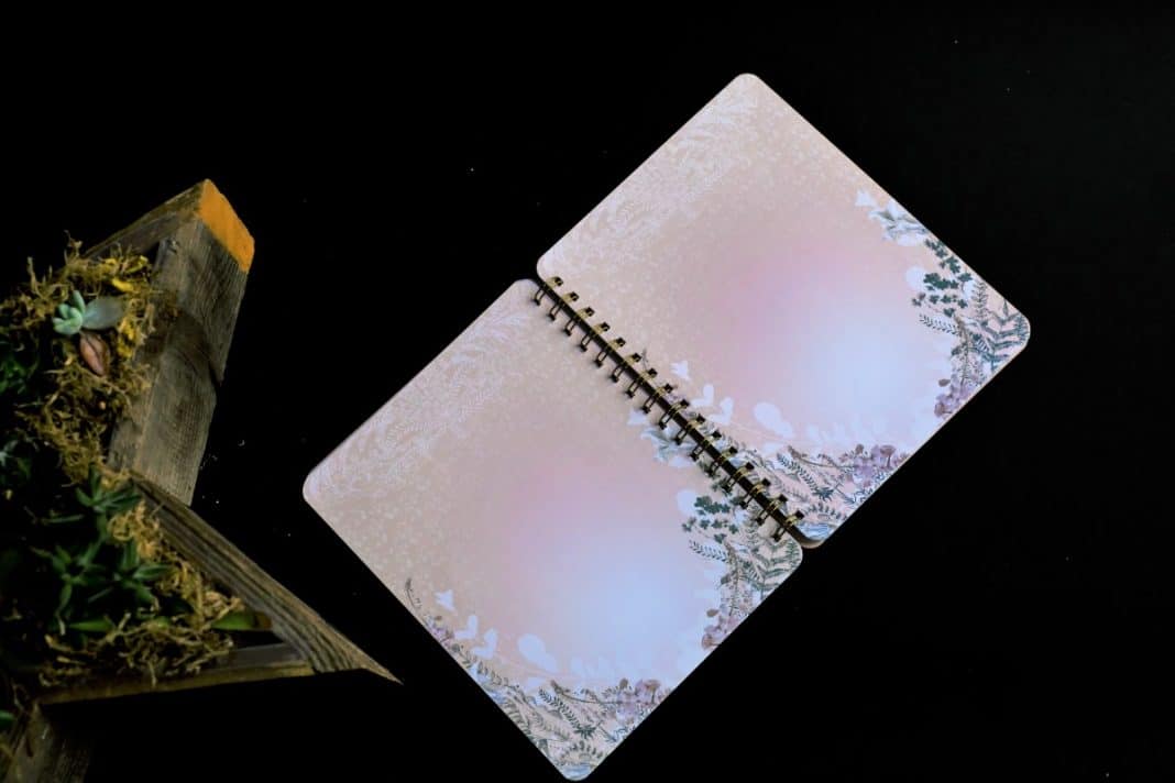 Heart-Centered Stationery & Style With PAPAYA! Art » Read Now!