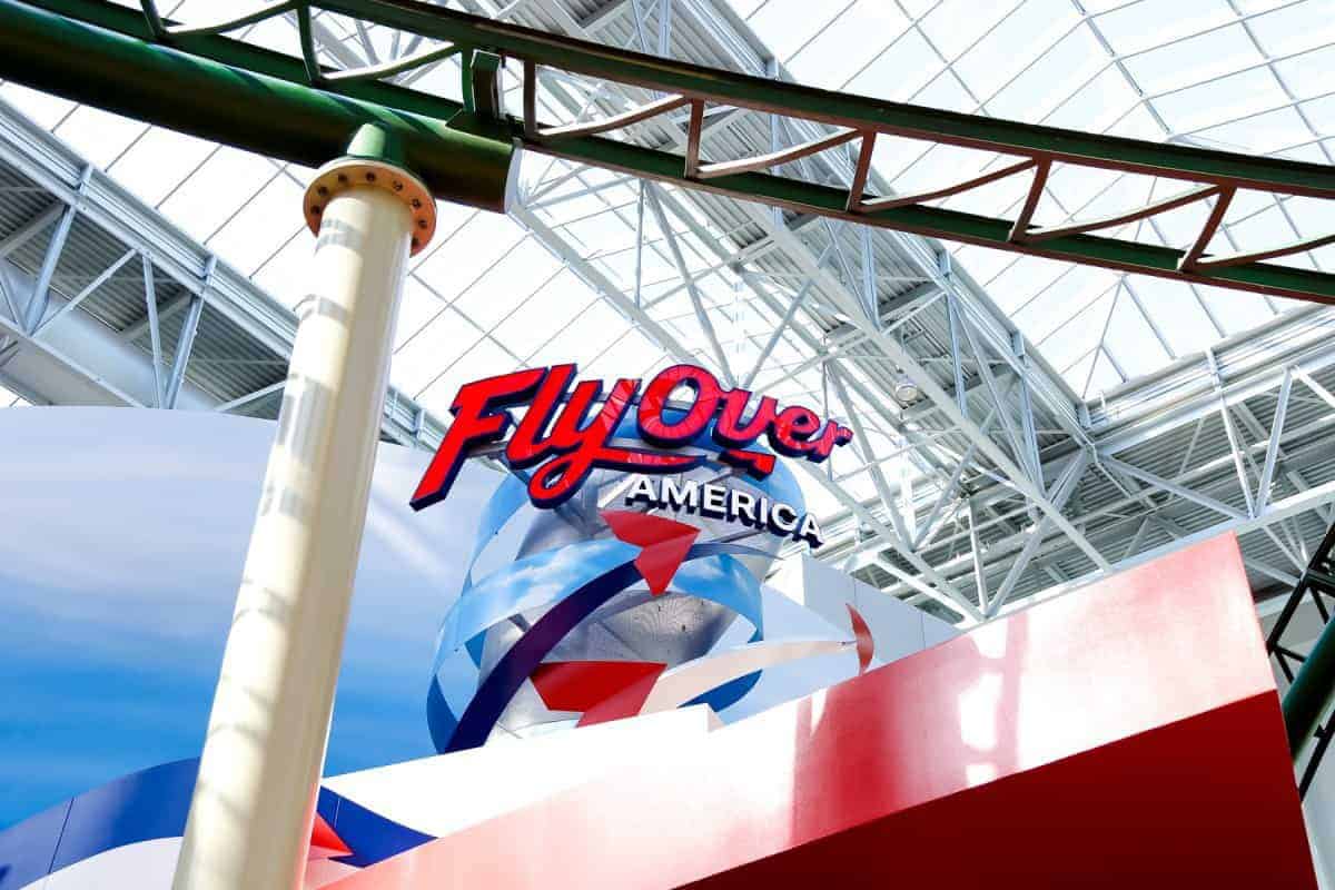 8 Impressive MOA Activities For The Whole Family