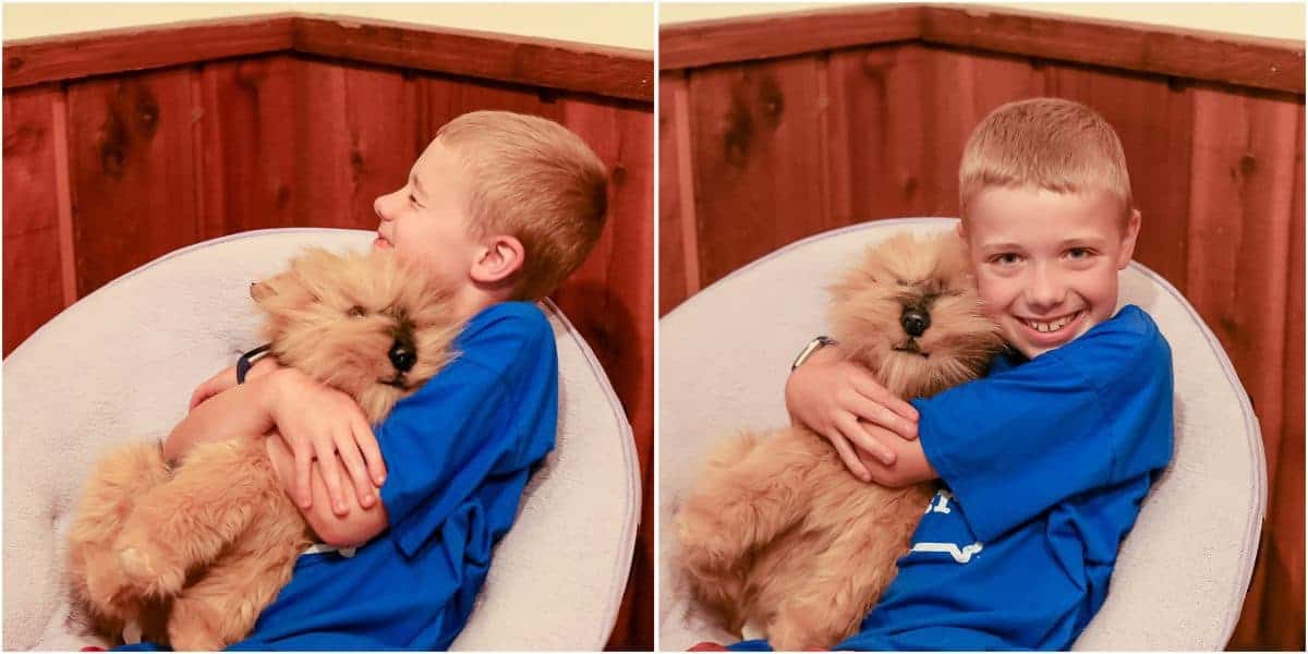 Petsies: Keep Your Pet Fur-Ever With This Brand » Read Now!