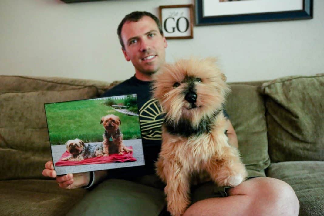 Petsies: Keep Your Pet Fur-Ever With This Brand » Read Now!