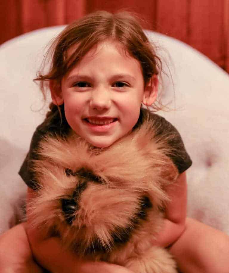 Petsies: Keep Your Pet Fur-Ever With This Brand » Read Now!