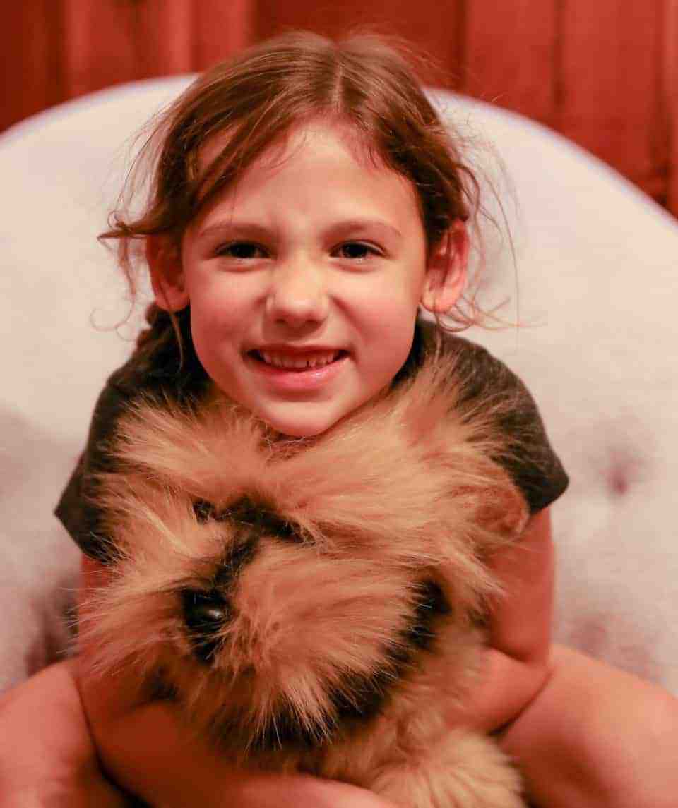 Petsies: Keep Your Pet Fur-Ever With This Brand » Read Now!