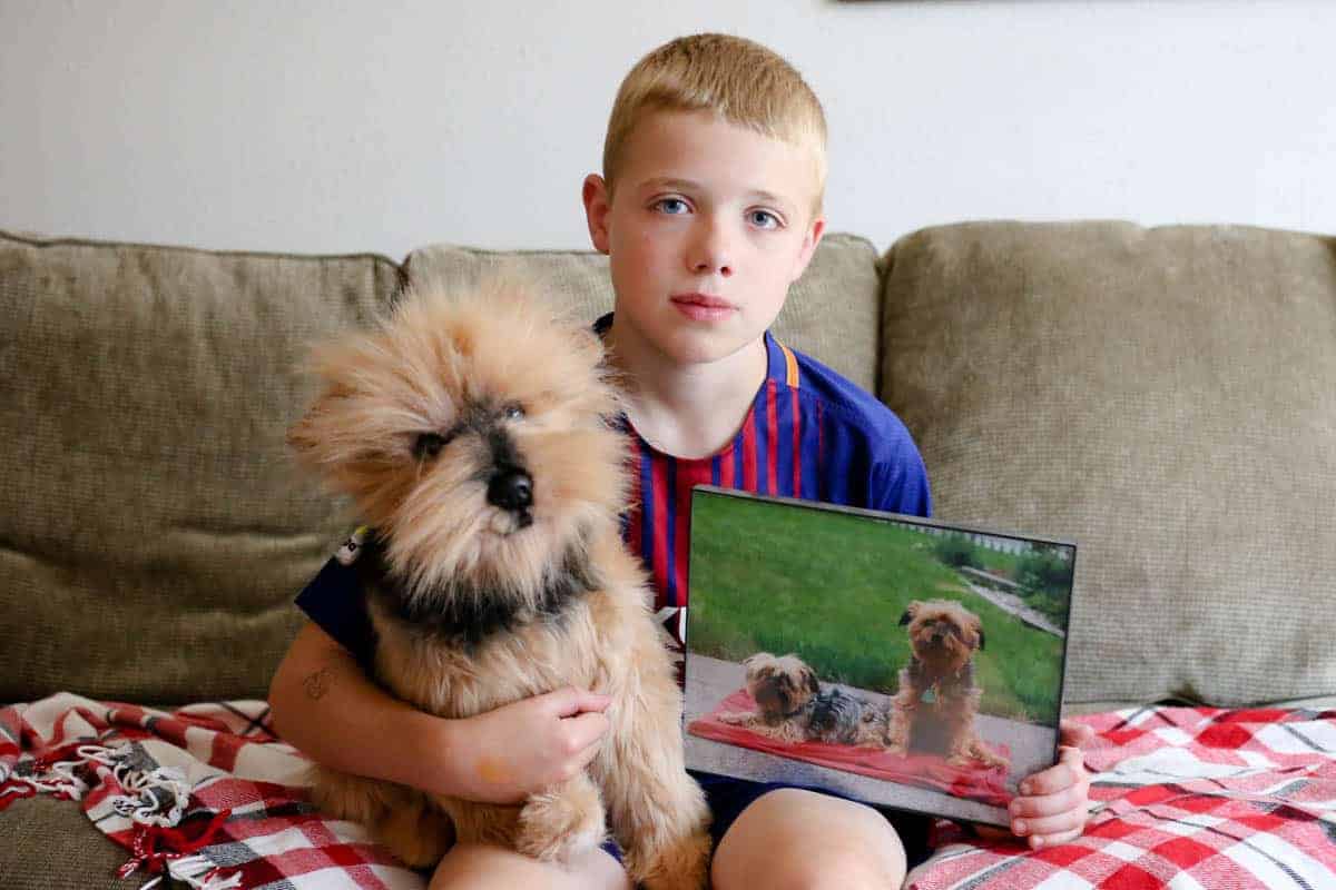 Petsies: Keep Your Pet Fur-Ever With This Brand » Read Now!