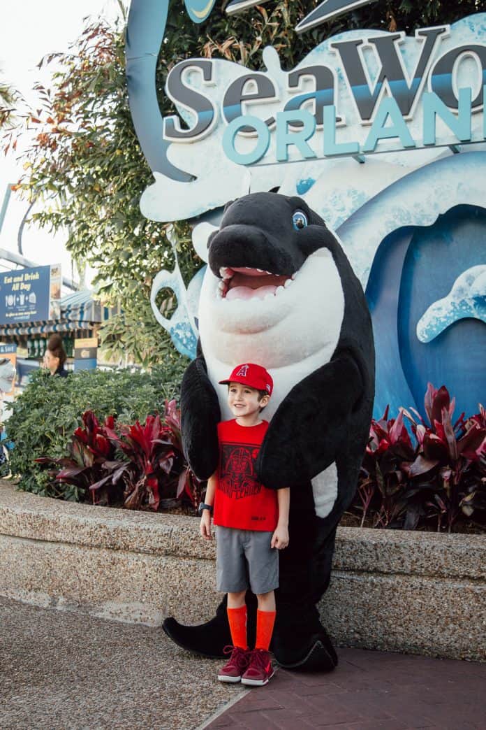 SeaWorld: An Orlando Theme Park For All Ages » Read Now!