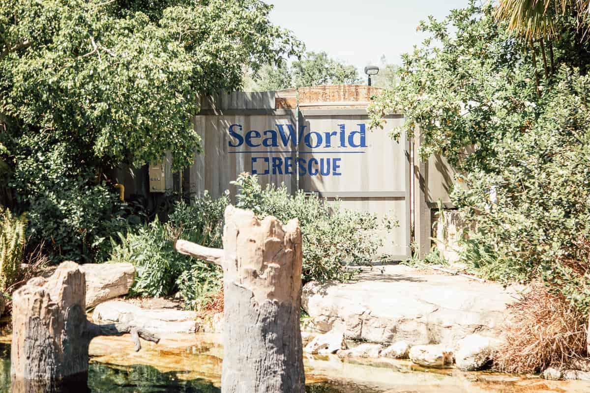 SeaWorld: An Orlando Theme Park For All Ages » Read Now!