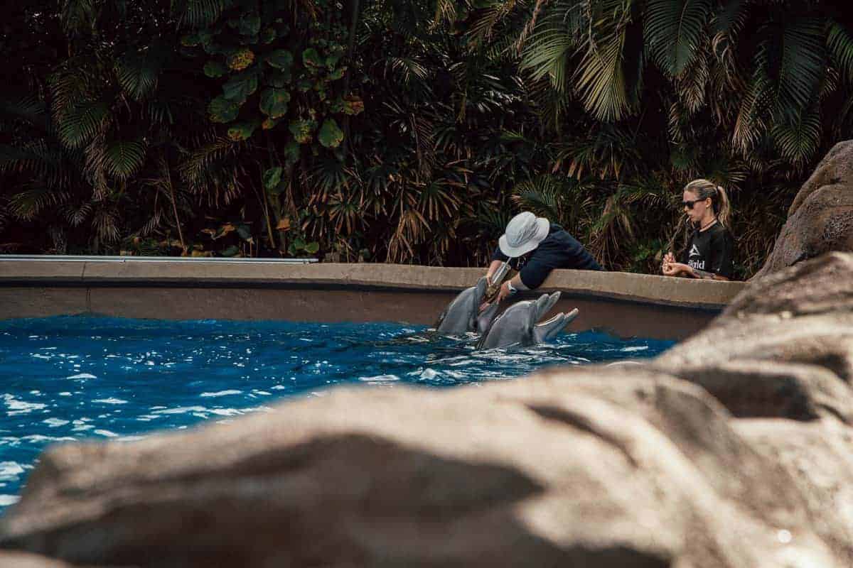 SeaWorld: An Orlando Theme Park For All Ages » Read Now!