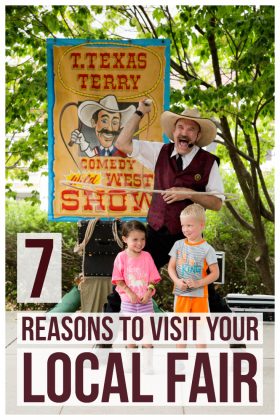 7 Reasons To Take Your Family To A County Fair » Read Now!