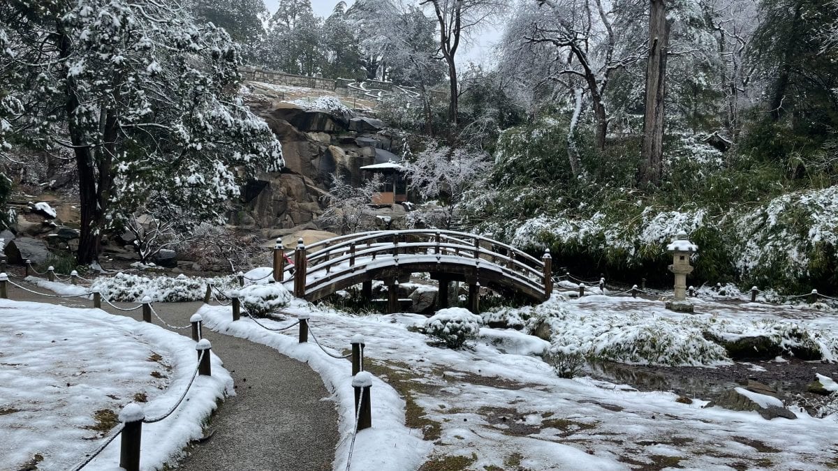 Northern Virginia Winter Bucket List » Read Now!