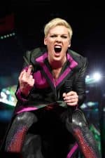 Pink's Beautiful Trauma Tour By DM Concert Series