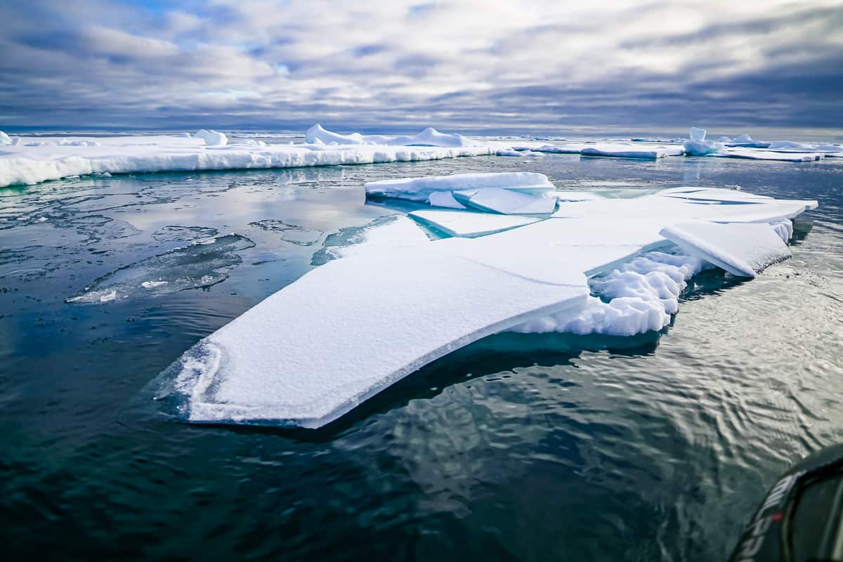 Arctic Expedition: A Complete Guide To An Arctic Cruise