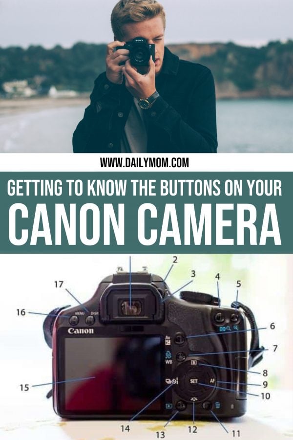 Buttons On A Camera: How To Get To Know Your Canon Camera