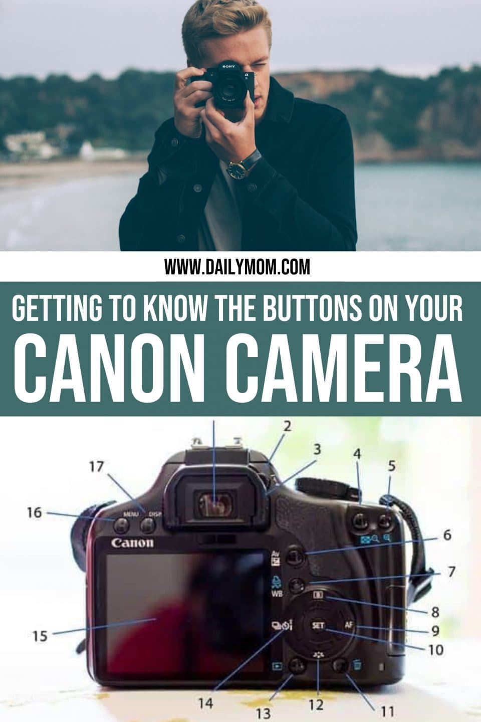 Buttons On A Camera: How To Get To Know Your Canon Camera