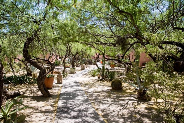 A Visual Tour Of Tanque Verde Ranch {in Photos} » Read Now!