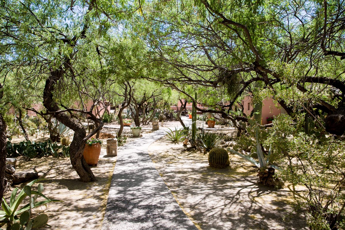 A Visual Tour Of Tanque Verde Ranch {in Photos} » Read Now!