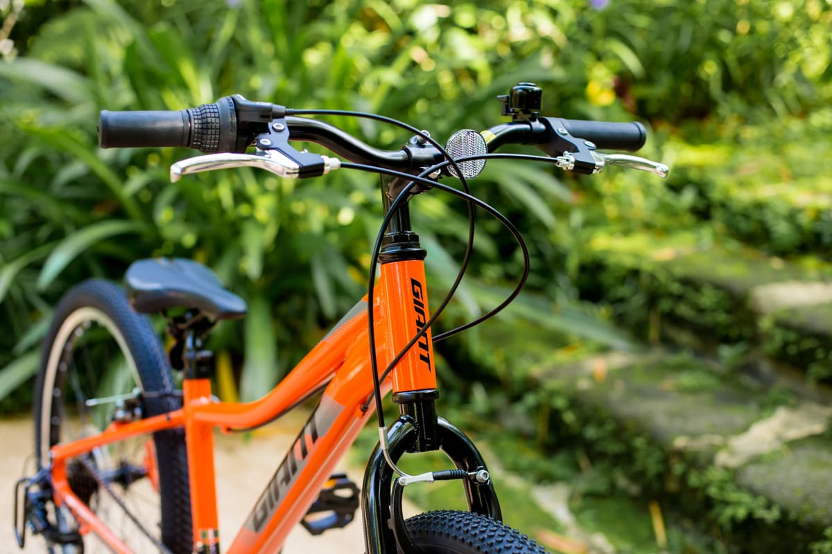 All The School Gear You Need This Fall » Read Now!