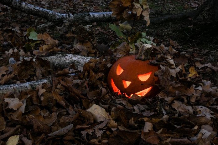 The Origin Of Pumpkin Carving » Read Now!