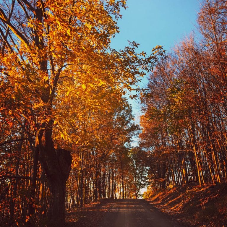 Check Out These Fun Fall Activities For The Whole Family!