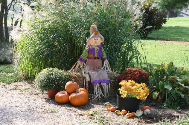 Check Out These Fun Fall Activities For The Whole Family!