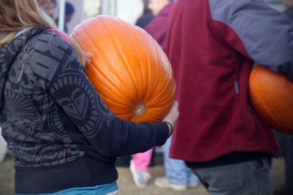 Check Out These Fun Fall Activities For The Whole Family!