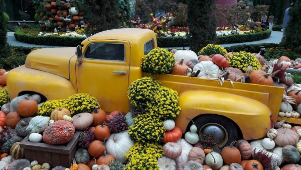Check Out These Fun Fall Activities For The Whole Family!