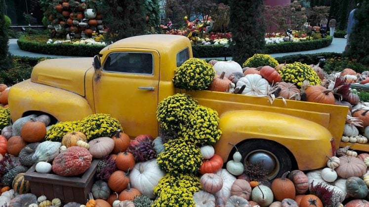 Check Out These Fun Fall Activities For The Whole Family!