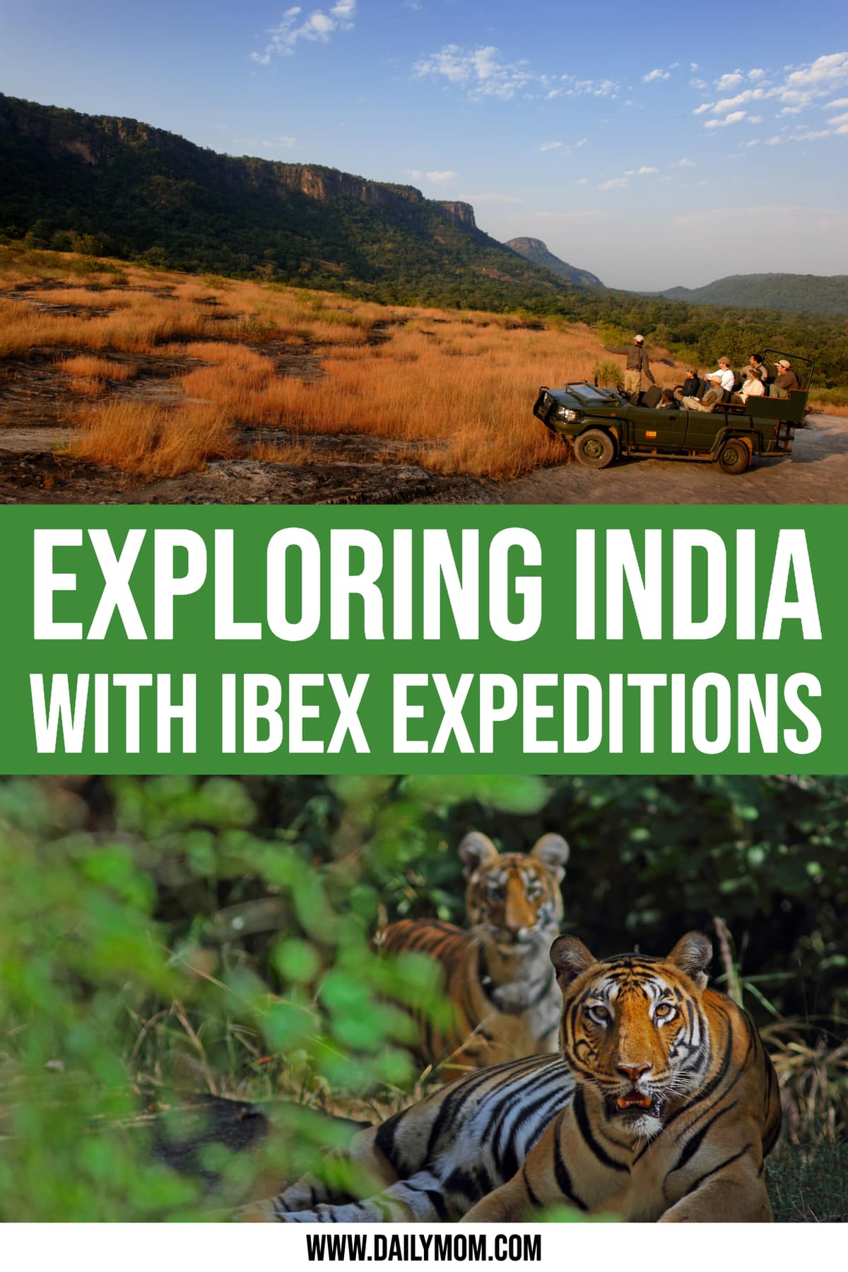 Ibex Expeditions: India Travel Guides And Excursions