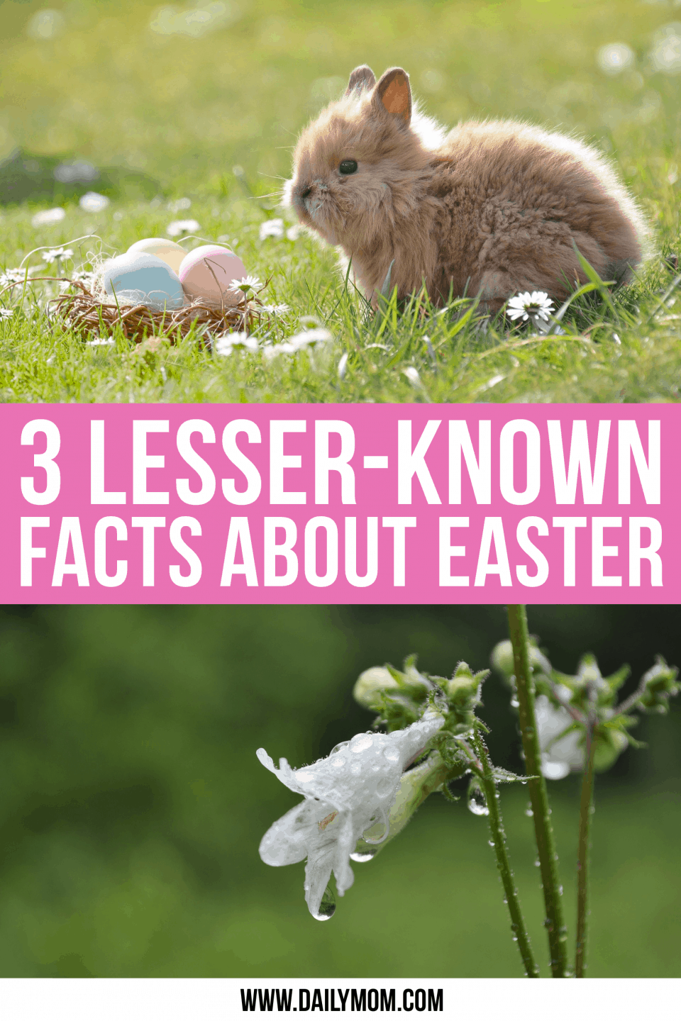 3 Lesser-Known Facts About Easter: What You Need To Know