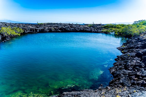Galapagos Vacation: Everything You Need To Know Before Going