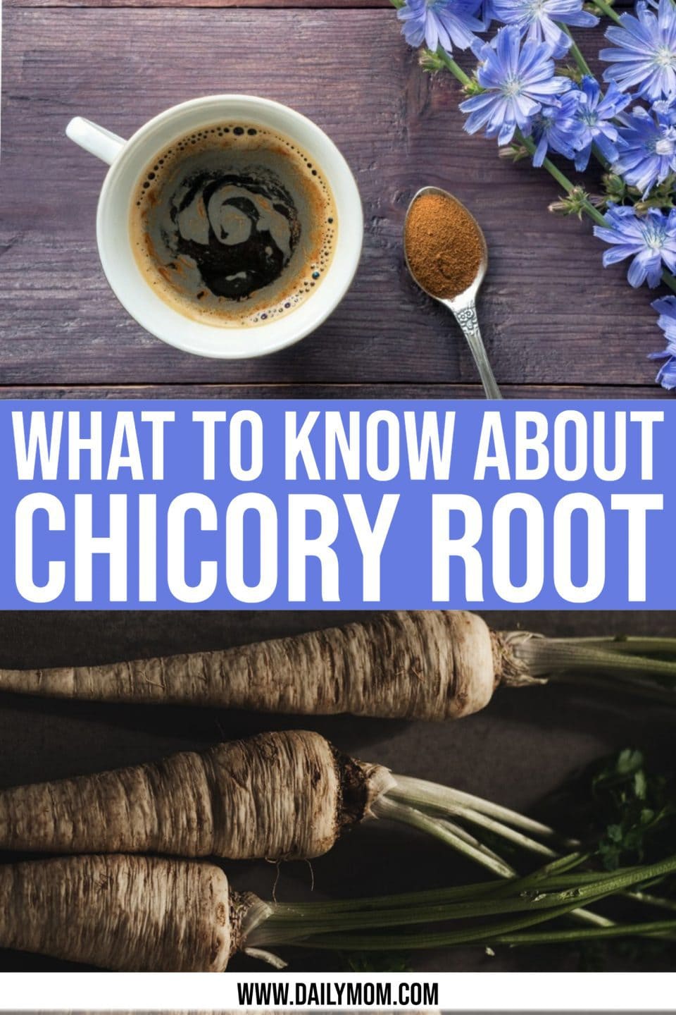 Chicory Root: Everything You Need To Know » Read More