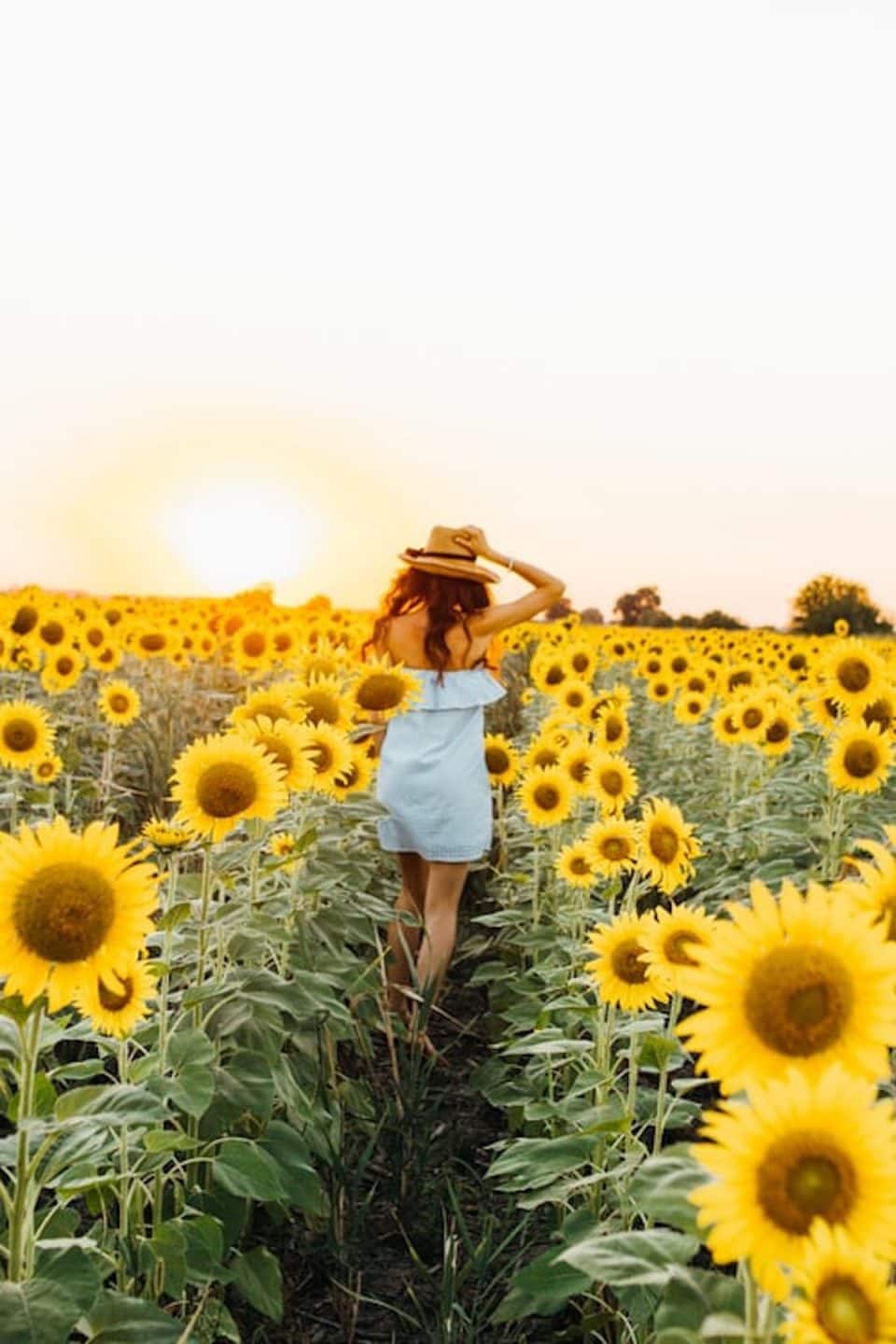 Embrace Living The Single Life » Read Now!