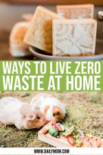 Ways To Live Zero Waste At Home » Read Now!