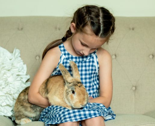 Rabbit As A Pet: 7 Great Reasons You Should Own One